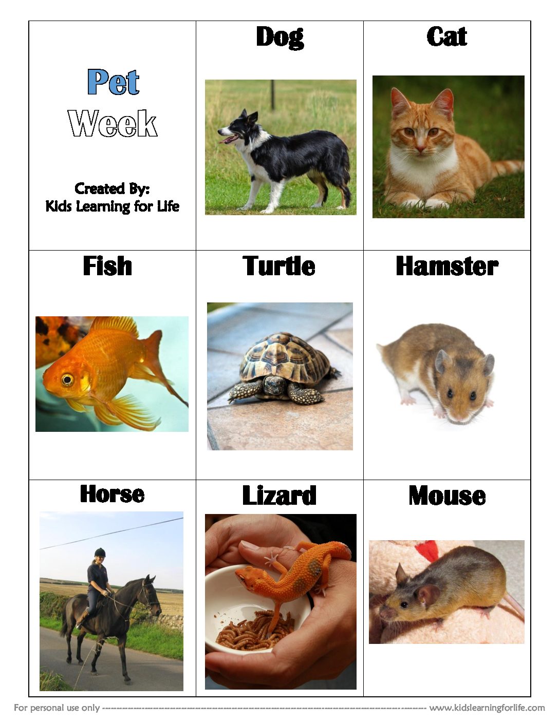 Pet Theme Vocabulary Pet Theme Vocabulary