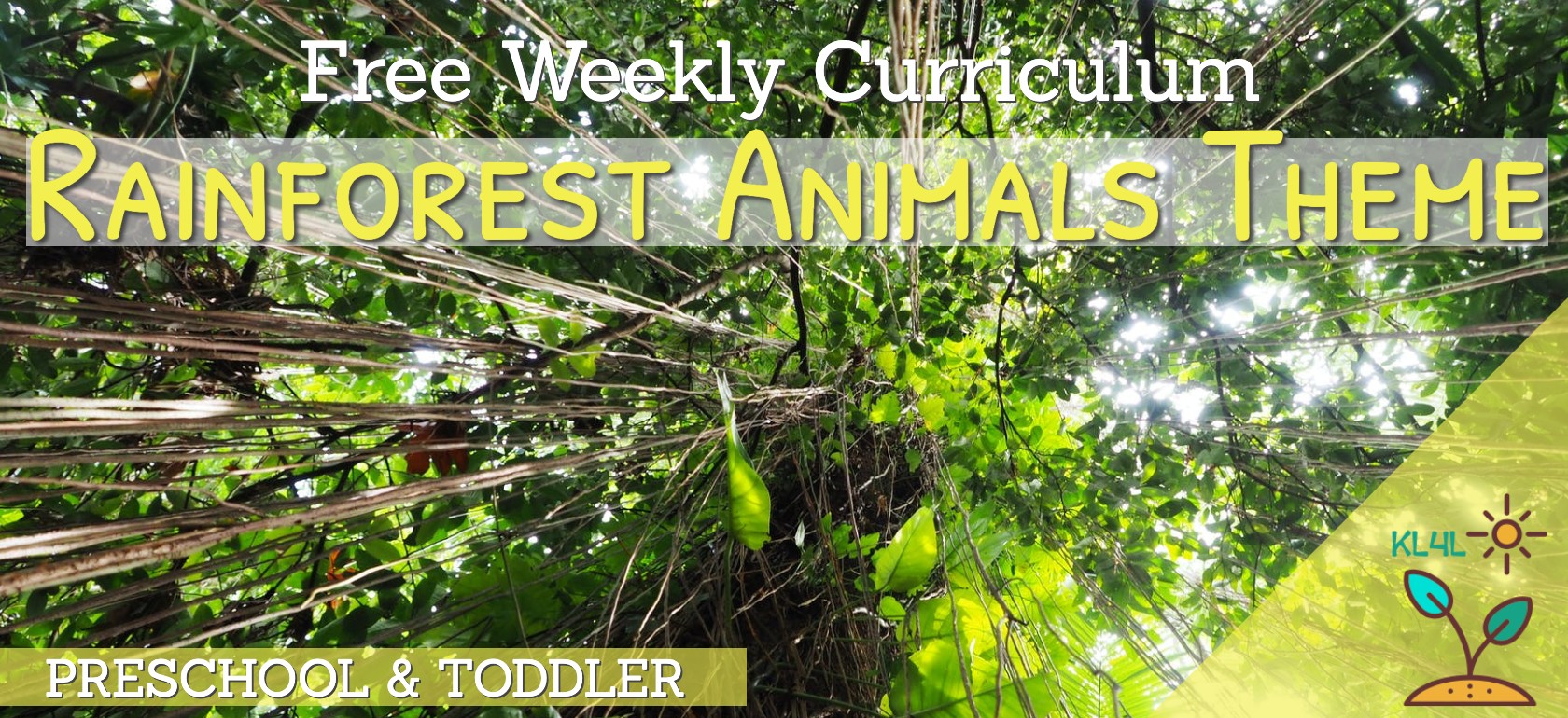 Rainforest Animals Theme